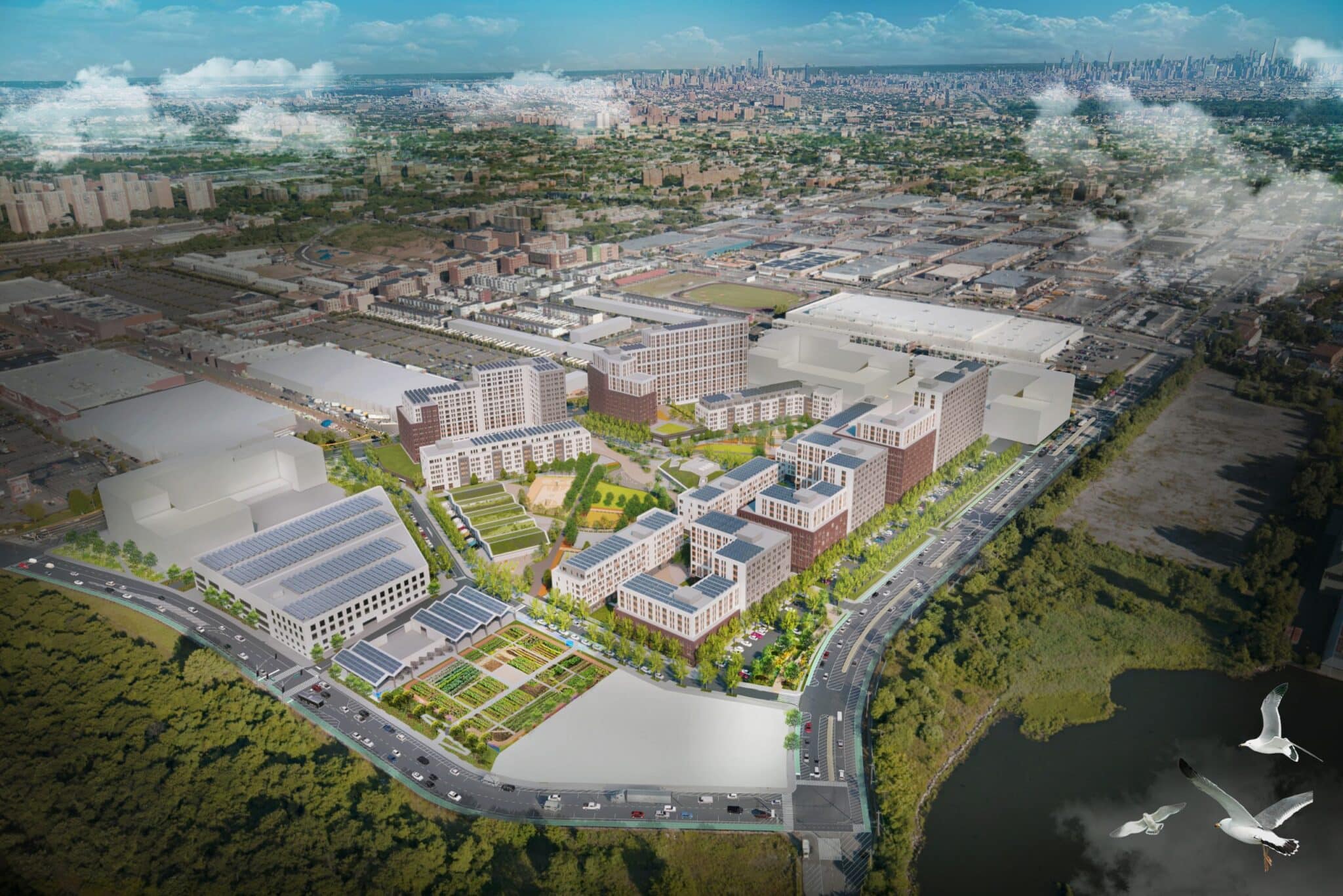 BDC Redevelopment - NYHC